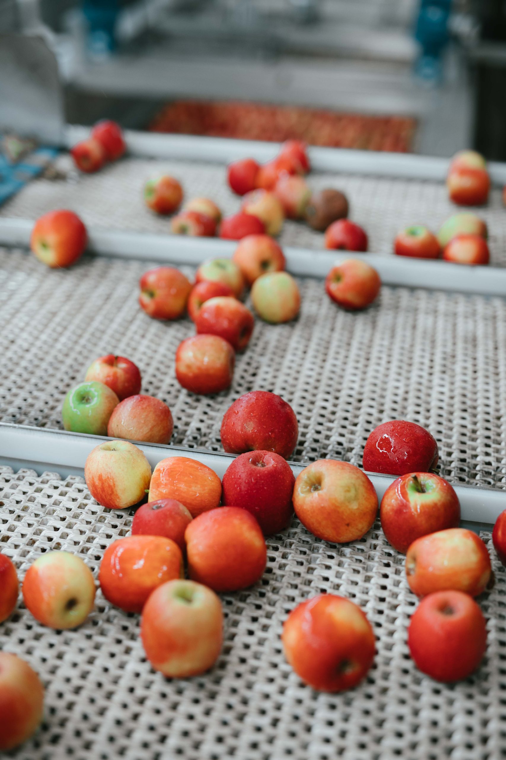 About Us - Hills Cider