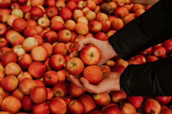 Hills Cider | Real Australian Cider